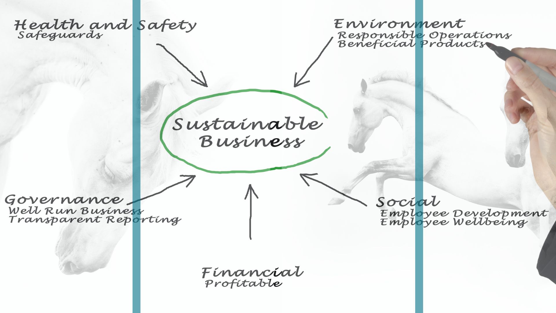 Equilink PRO online netværksmøde 9. maj 2023